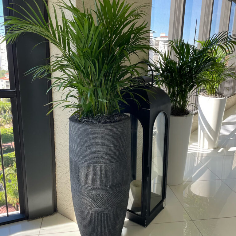 Adding Plants to an Indoor Atrium - Tropex
